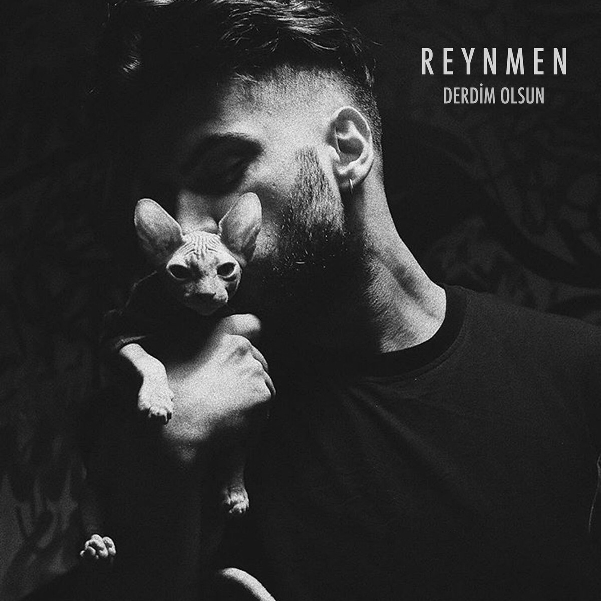 Reynmen Albums: songs, discography, biography, and listening guide ...
