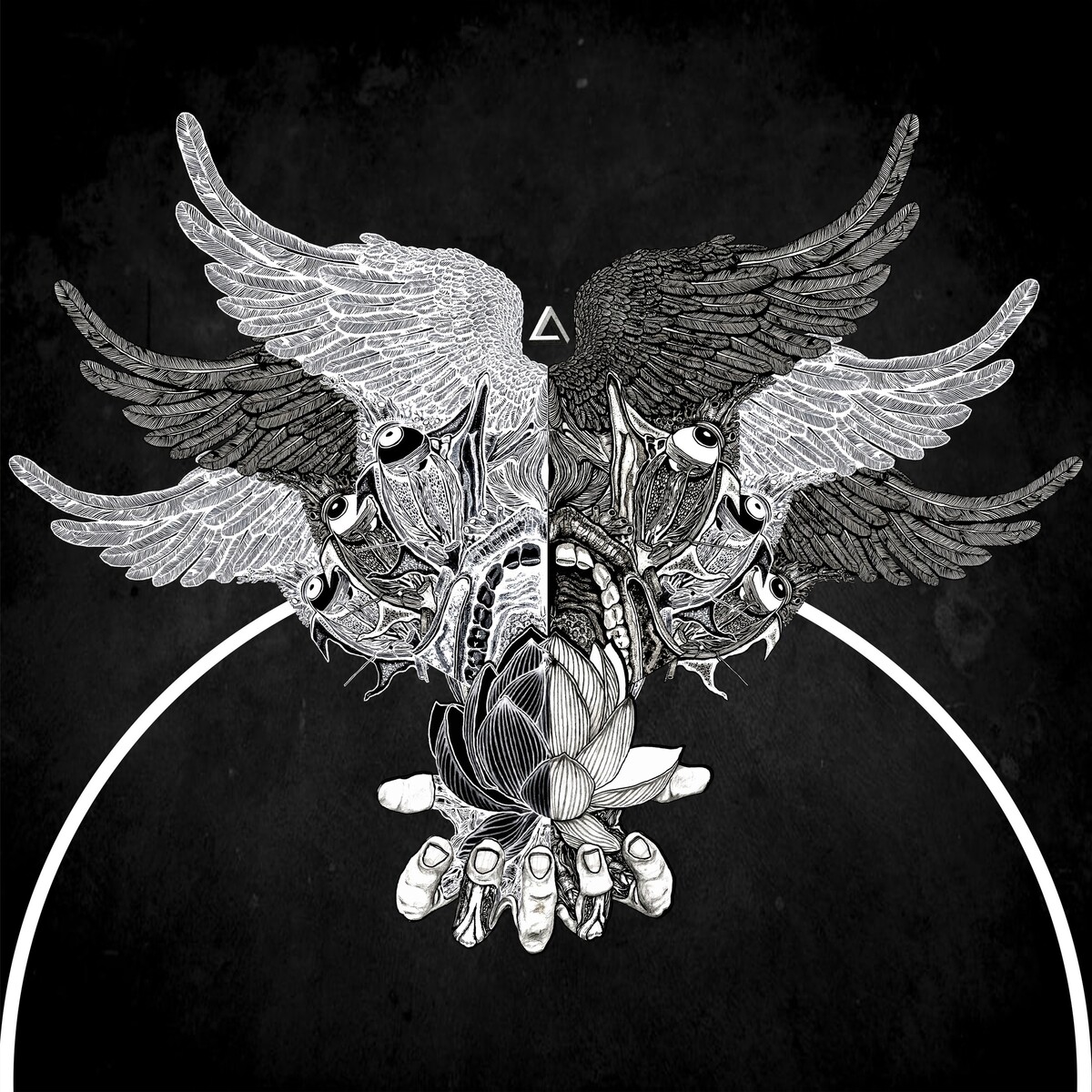 Poly-Math Albums: songs, discography, biography, and listening guide ...