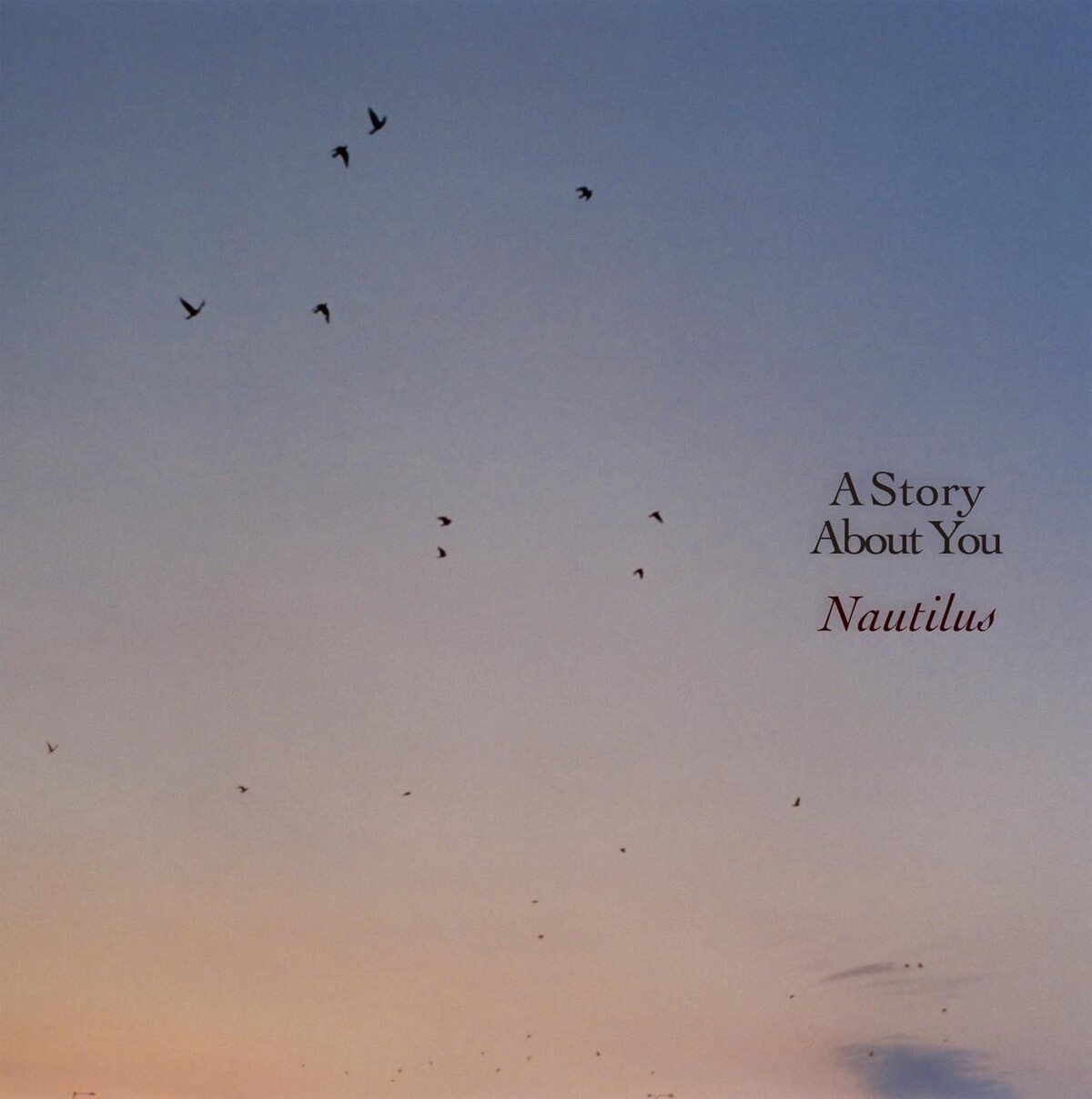 A Story About You by Nautilus (Album): Reviews, Ratings, Credits, Song ...