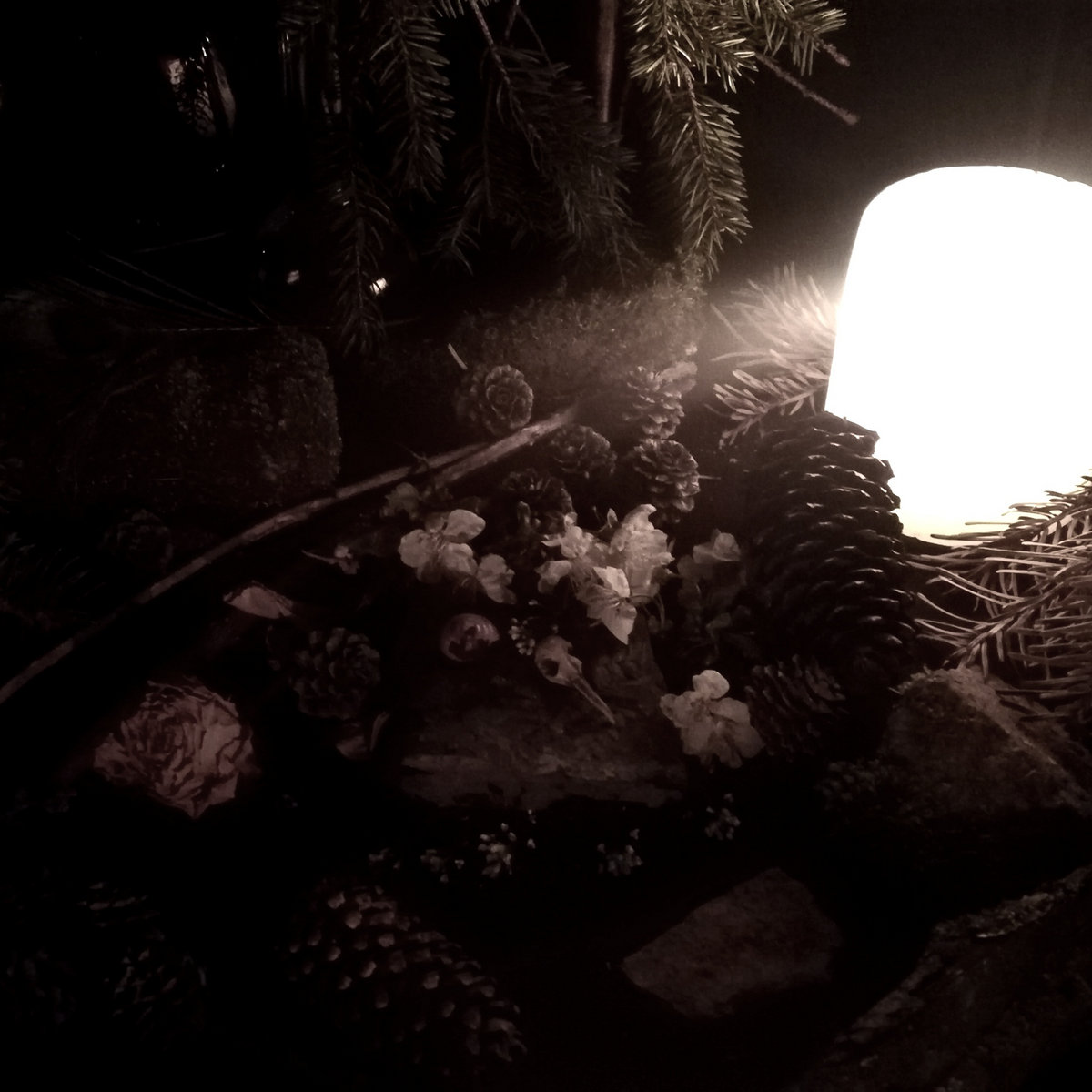 Timeless Kingdom Albums: songs, discography, biography, and listening ...