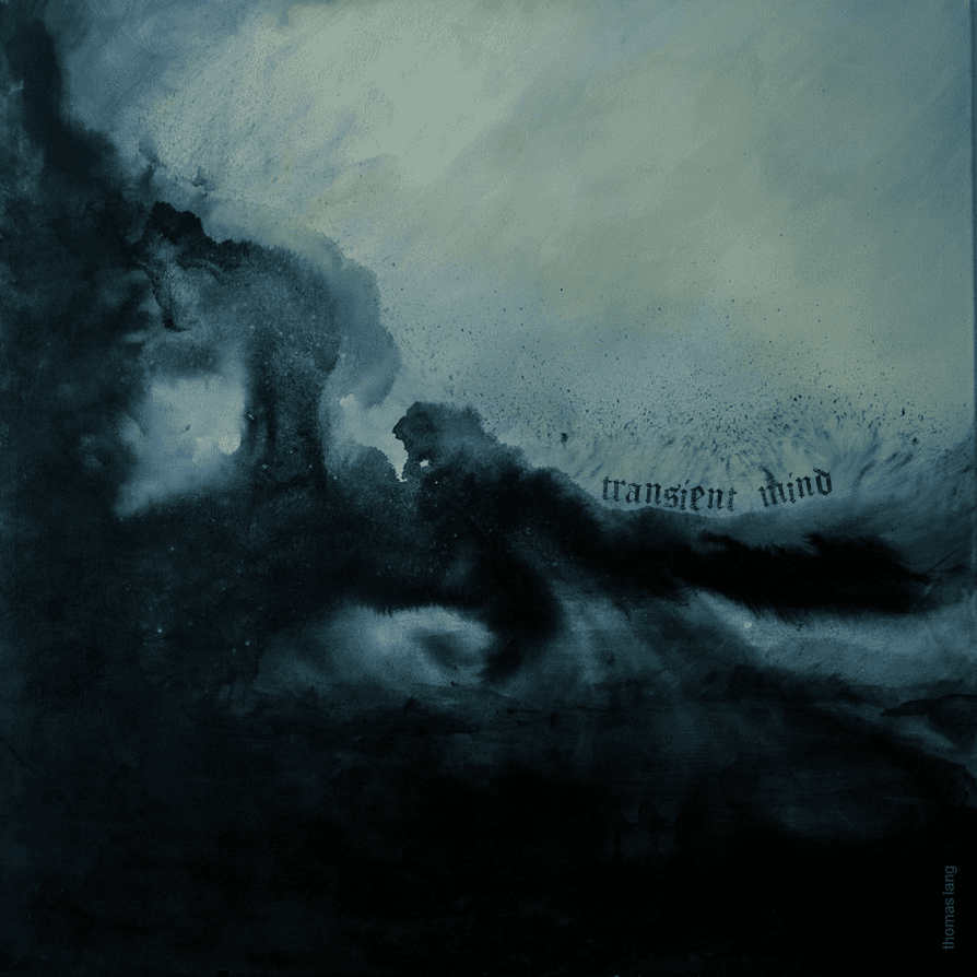 Transient Mind by Nederhaat (Single): Reviews, Ratings, Credits, Song ...