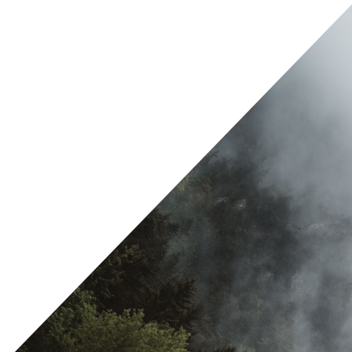 Fog by DJ ZZZ (Single): Reviews, Ratings, Credits, Song list - Rate ...