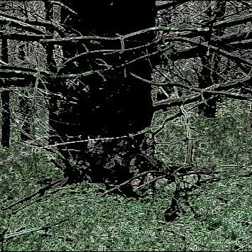 Somewhere in the Woods Where Bare Trees Grow by Sadd (Single): Reviews ...