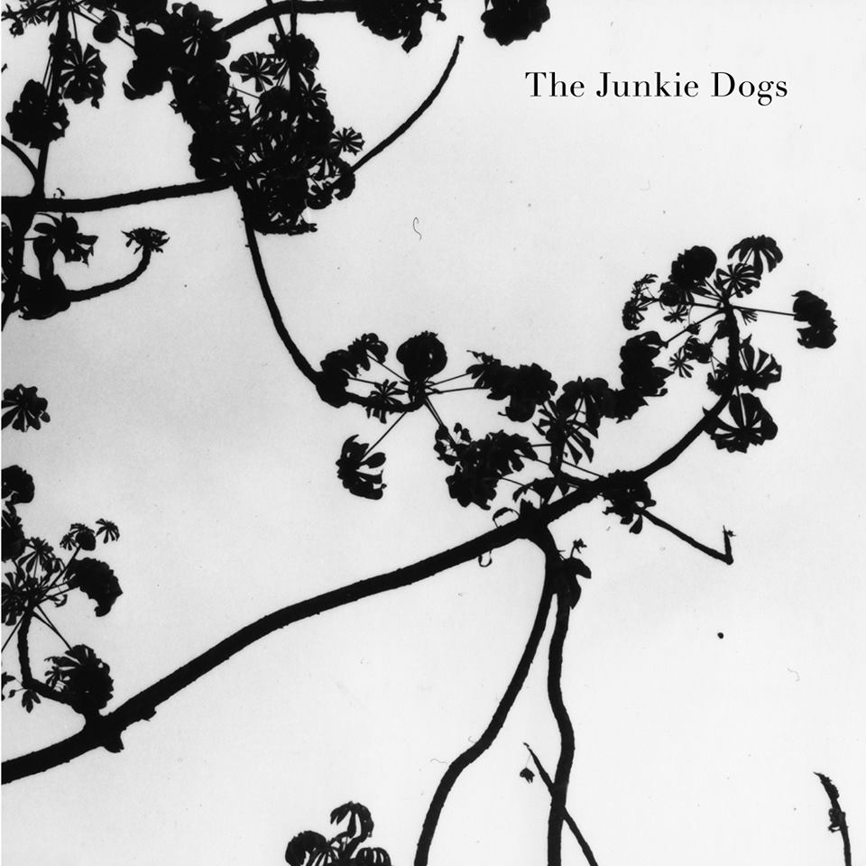 The Junkie Dogs Albums: songs, discography, biography, and listening ...