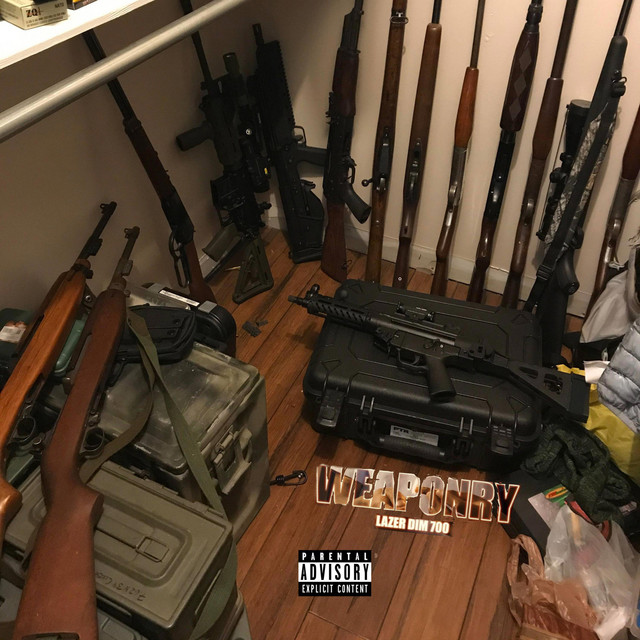 Weaponry by LAZER DIM 700 (Single): Reviews, Ratings, Credits, Song ...