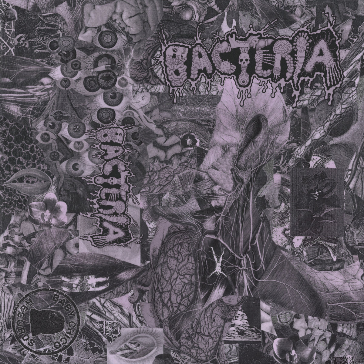 Bacteria Albums: songs, discography, biography, and listening guide ...