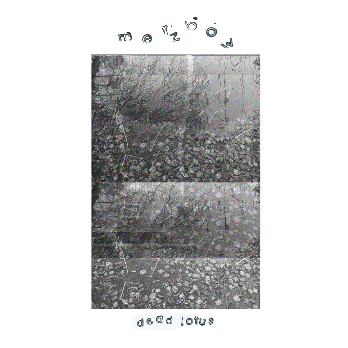 Best Harsh Noise albums of 2019 - Rate Your Music