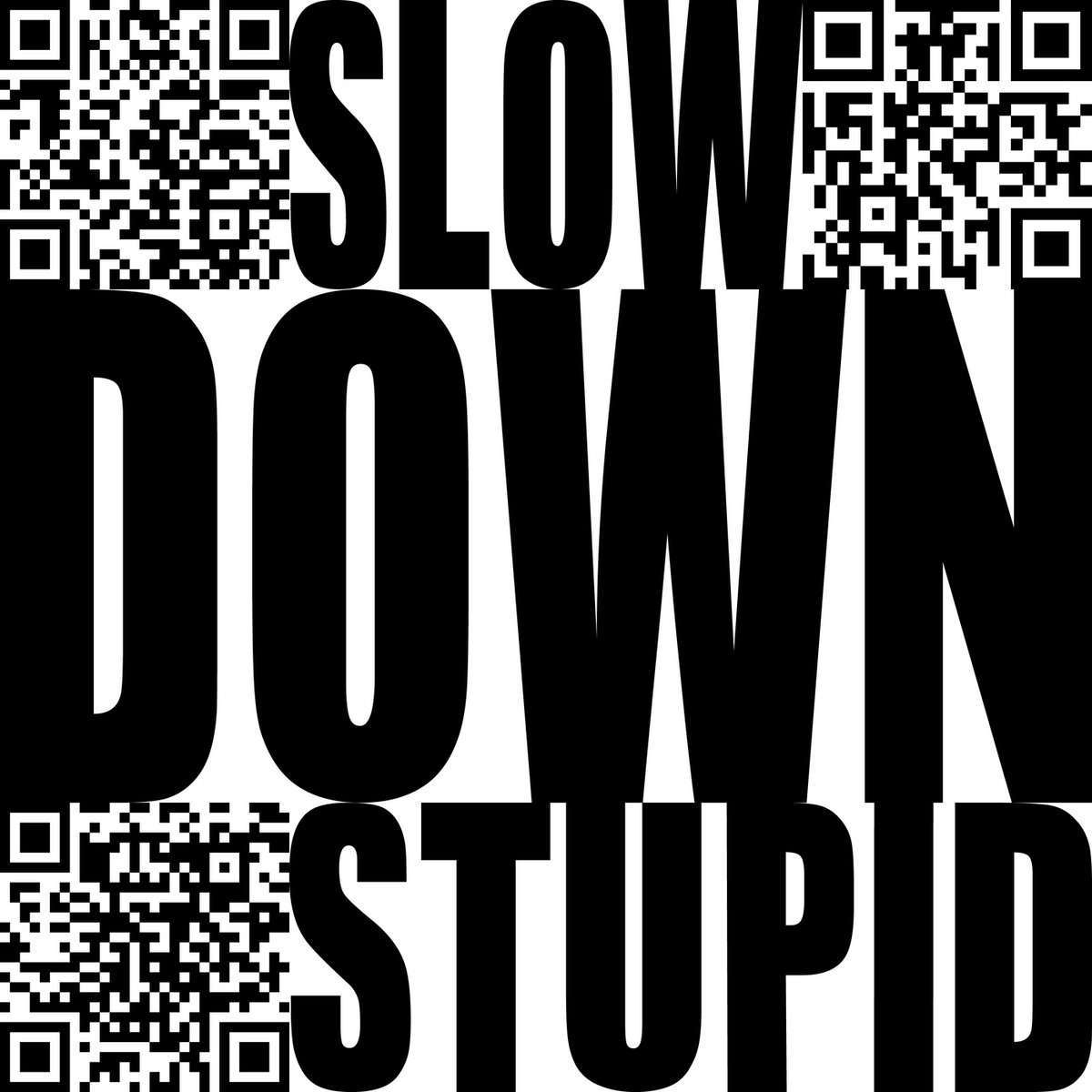 Slow Down Stupid by Bogdan Raczynski (Album, IDM): Reviews, Ratings ...