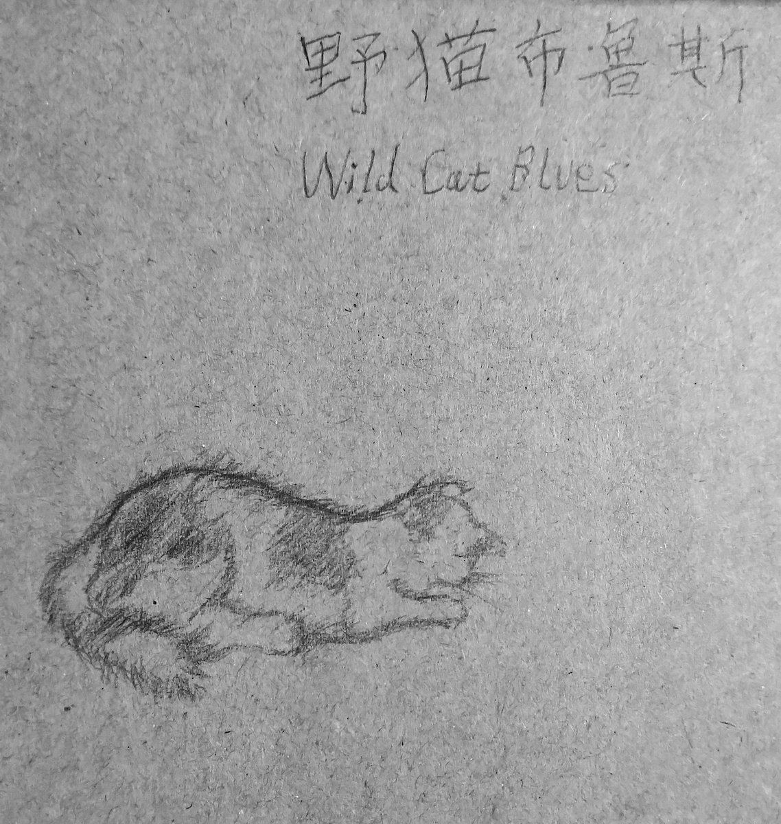 野猫布鲁斯 by 李维思 [Li Weisi] (Album): Reviews, Ratings, Credits, Song list ...
