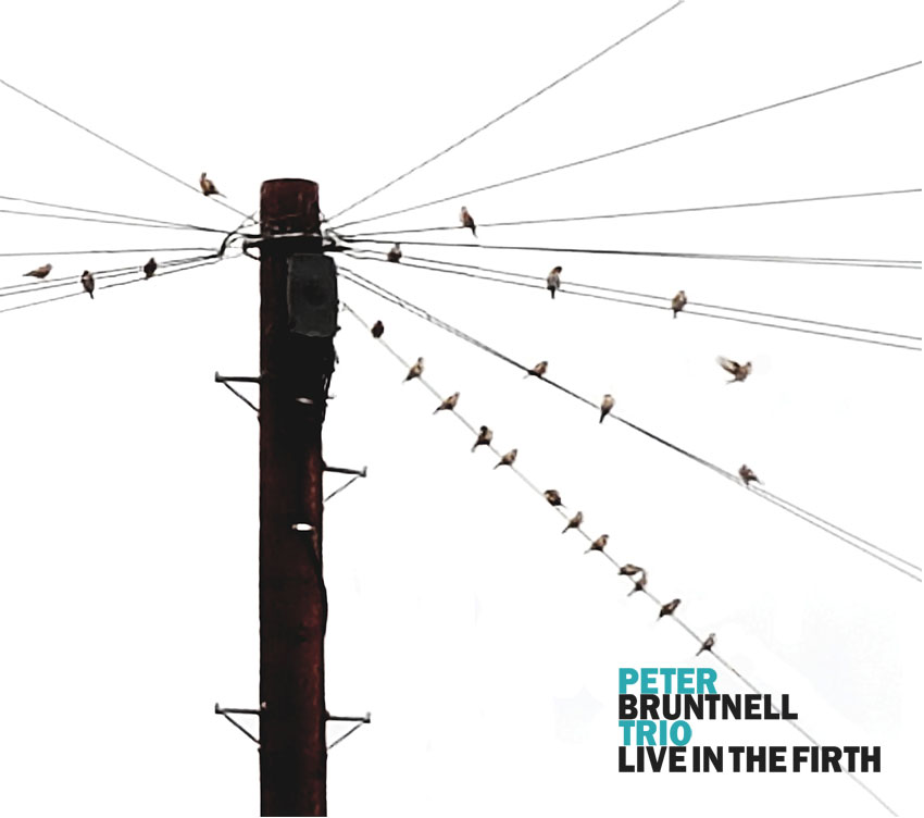 Live in the Firth by Peter Bruntnell (Album): Reviews, Ratings, Credits ...
