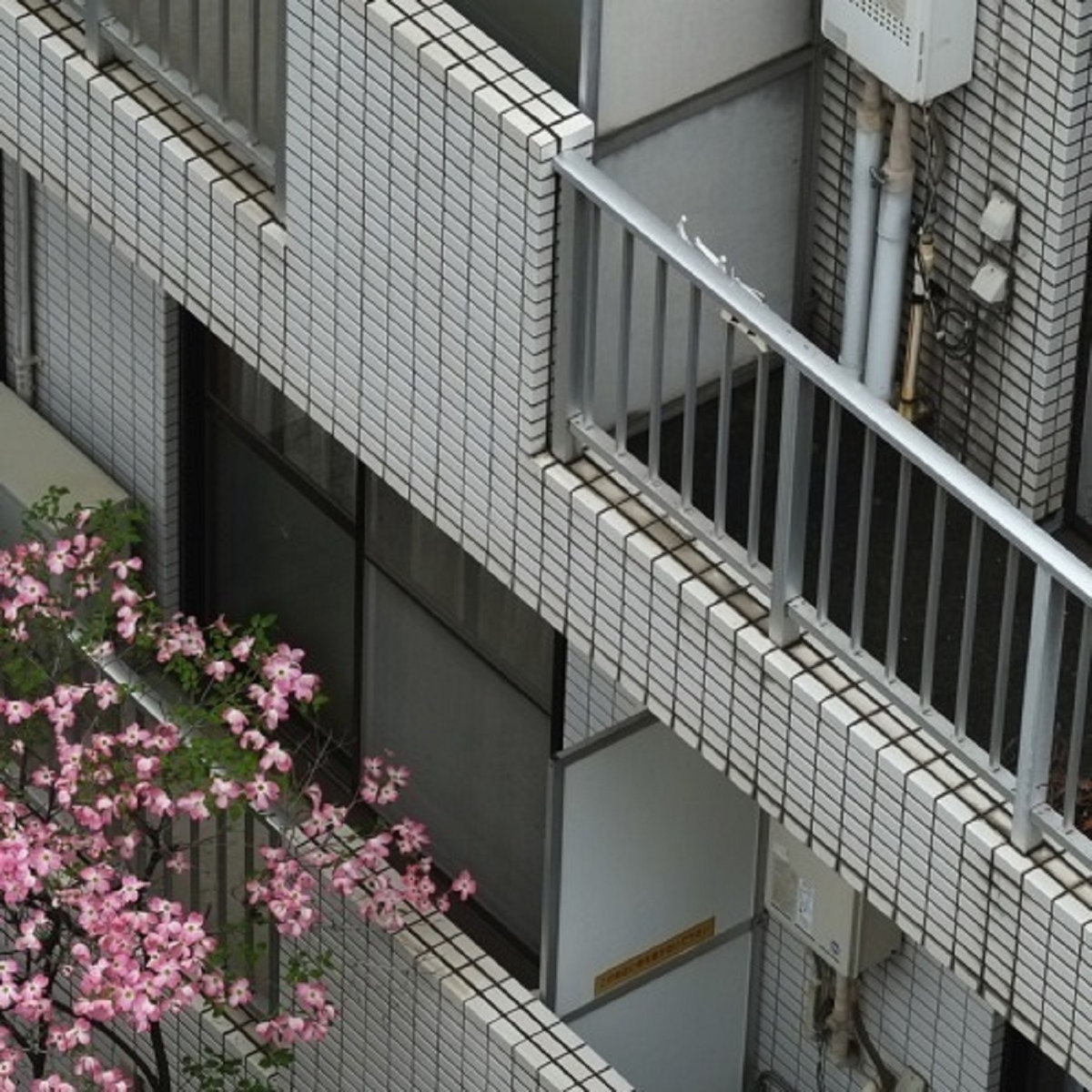 アニメーションウォッチャーズ by HASAMI group (Album, Experimental Hip Hop): Reviews, Ratings, Credits, Song ...