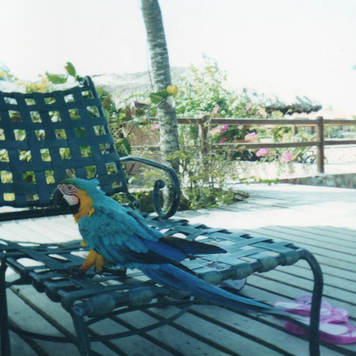 Samuel Acosta Albums: songs, discography, biography, and listening ...