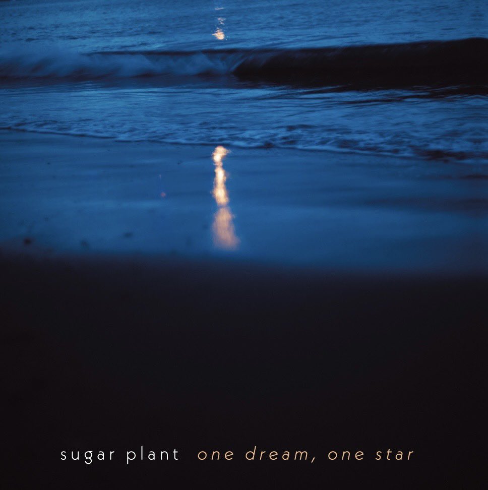 Best Dream Pop albums of 2026 - Rate Your Music