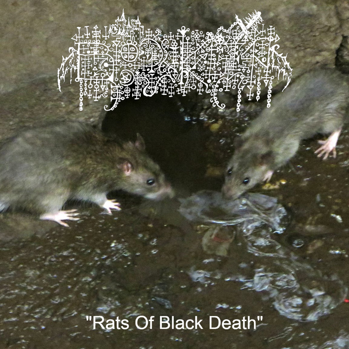 Rats of Black Death by Bloody Keep (Album, Melodic Black Metal ...