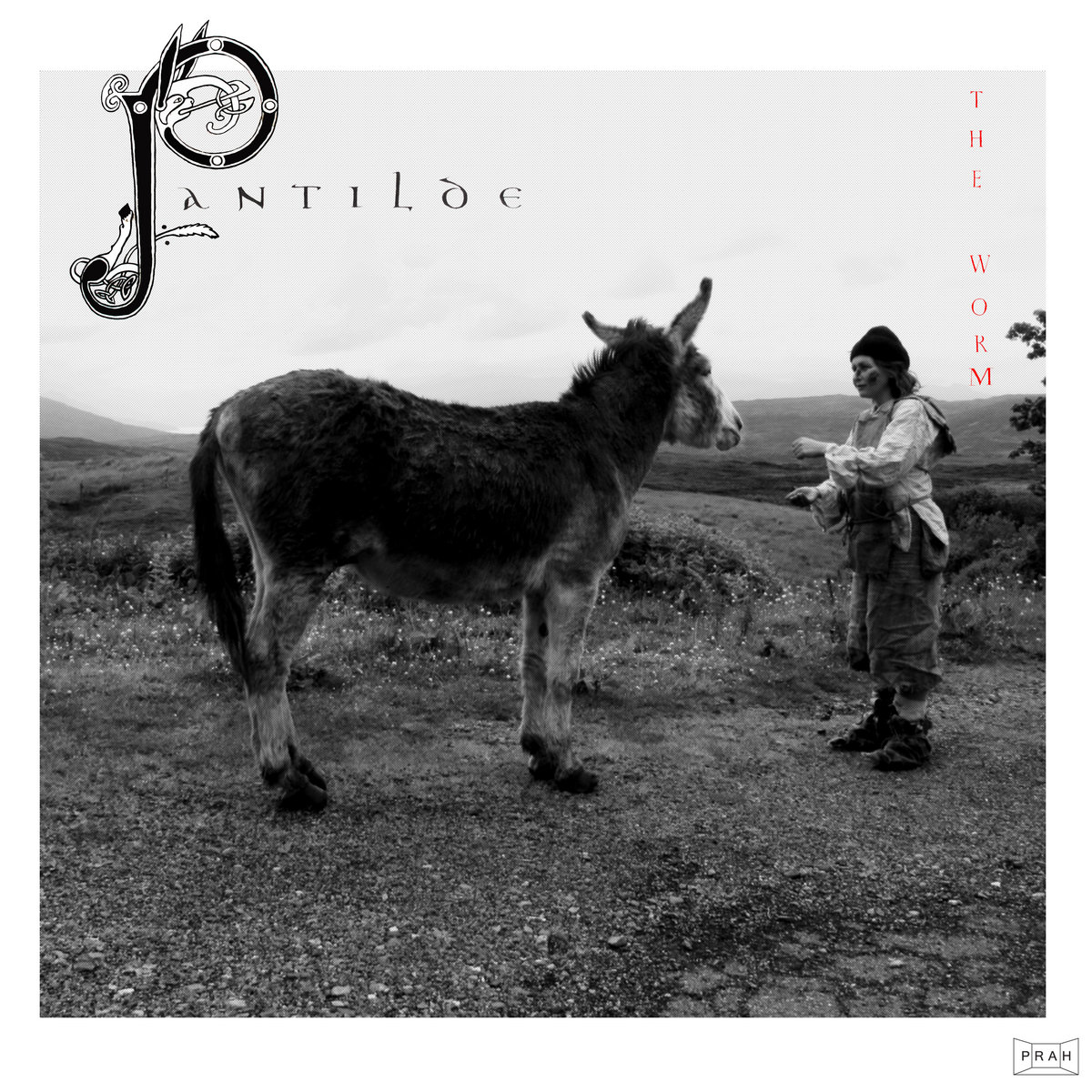 Pantilde by The Worm (Album): Reviews, Ratings, Credits, Song list ...