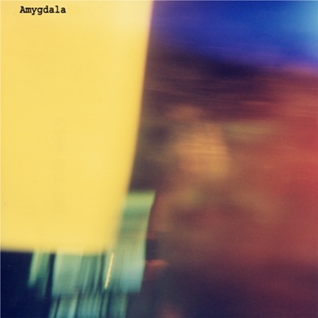Amygdala Albums: songs, discography, biography, and listening guide ...