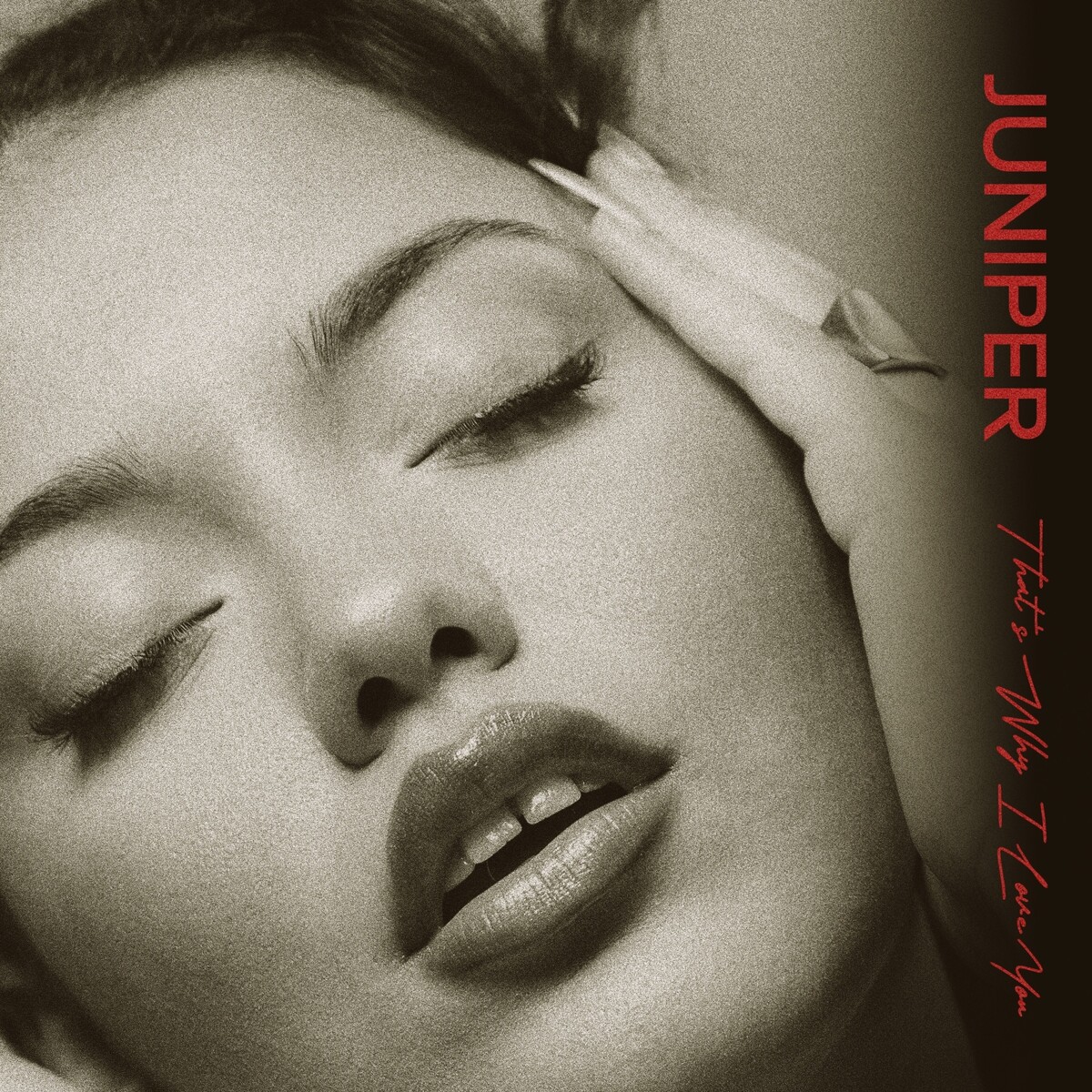 That's Why I Love You by Juniper (Single): Reviews, Ratings, Credits, Song list - Rate Your Music