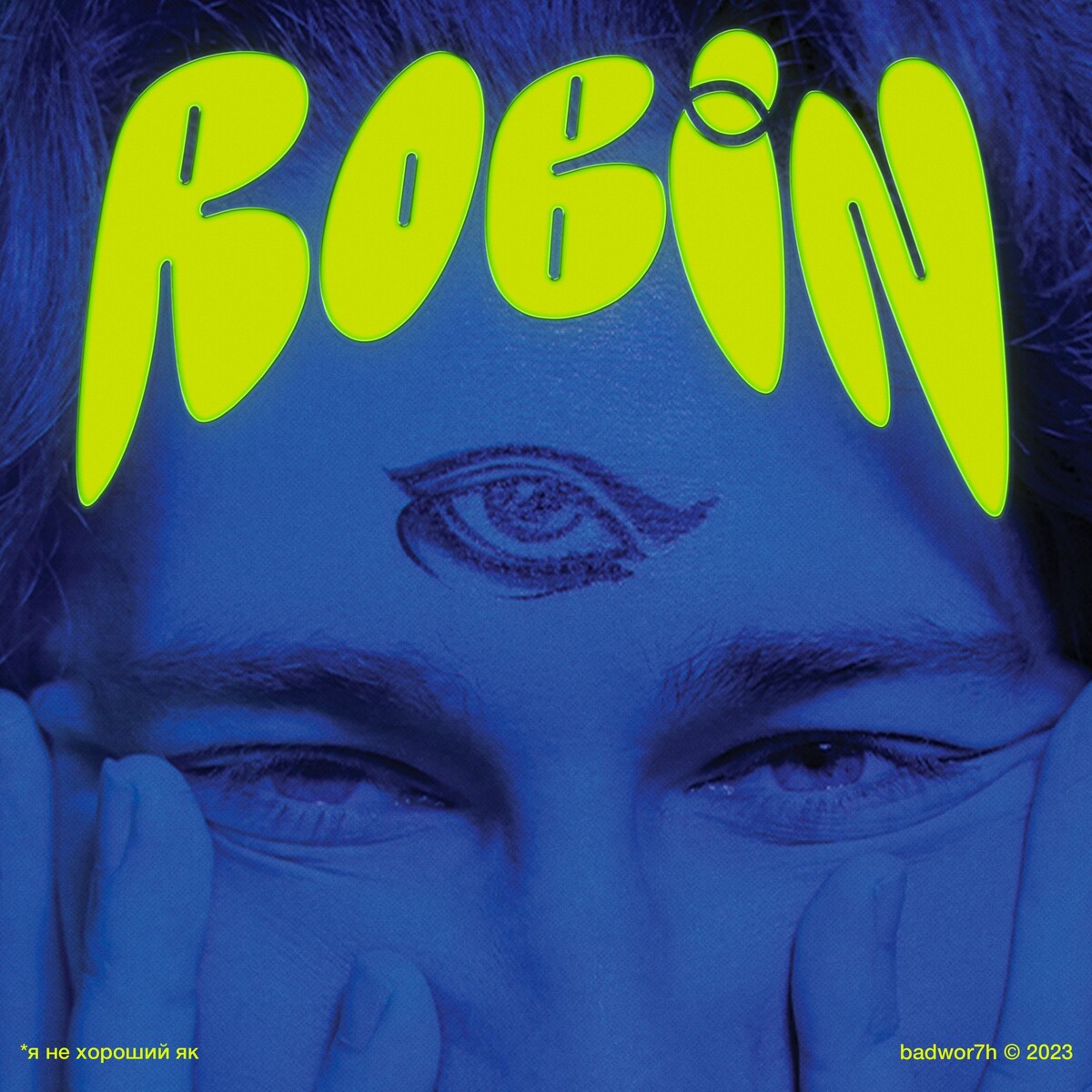 Robin by BADWOR7H (Single, Breakbeat): Reviews, Ratings, Credits, Song ...