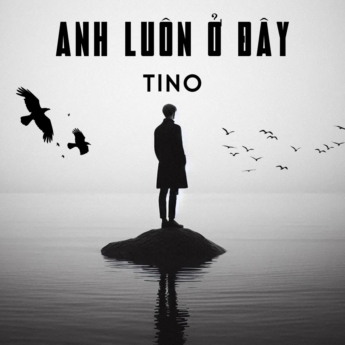 Tino Albums: songs, discography, biography, and listening guide - Rate ...