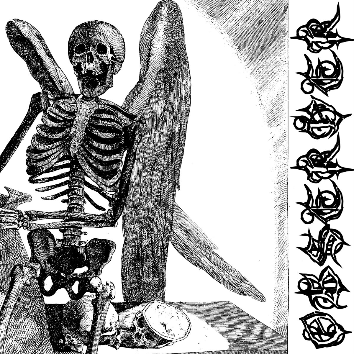 Observer Albums: songs, discography, biography, and listening guide ...