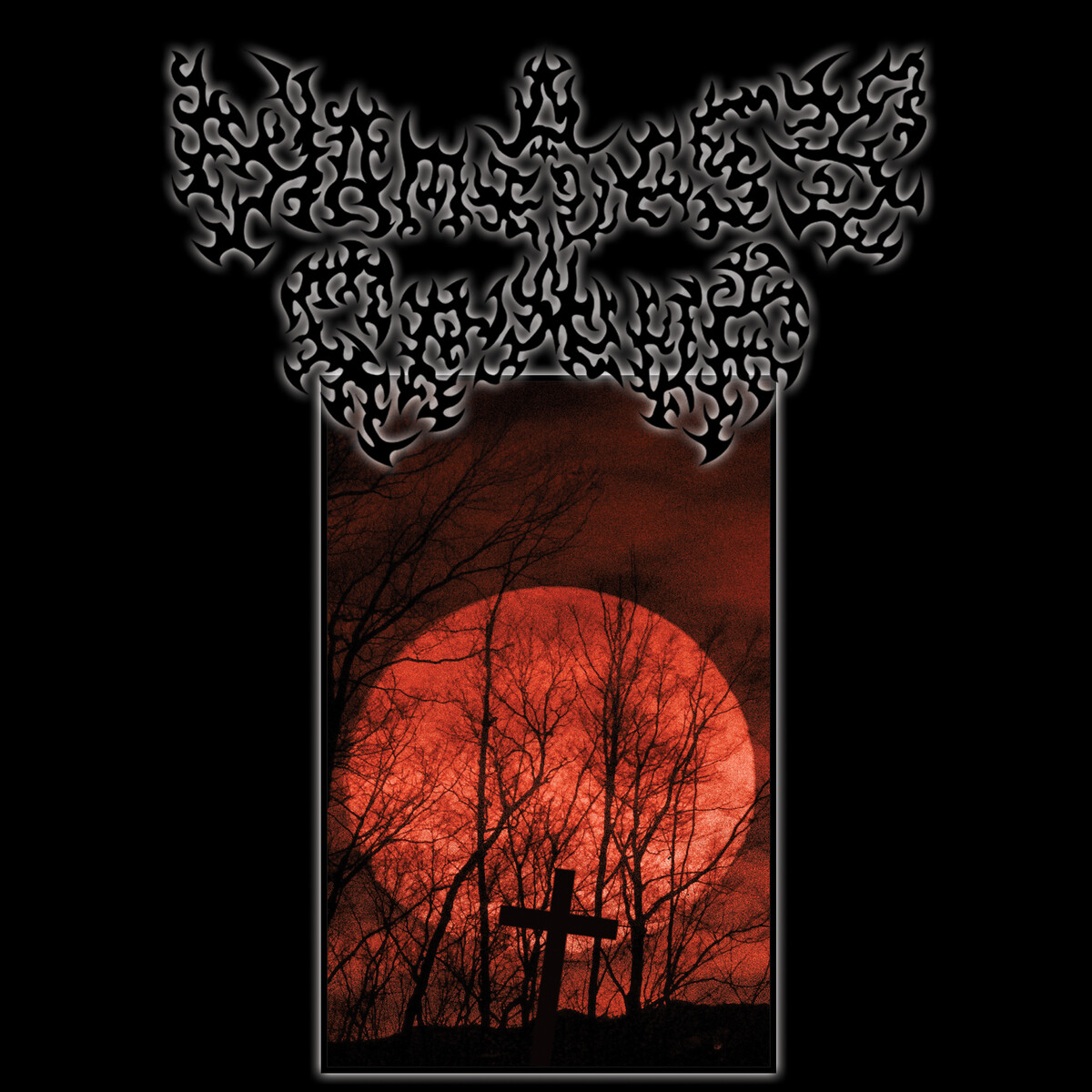 A Nameless Grave Albums: songs, discography, biography, and listening ...