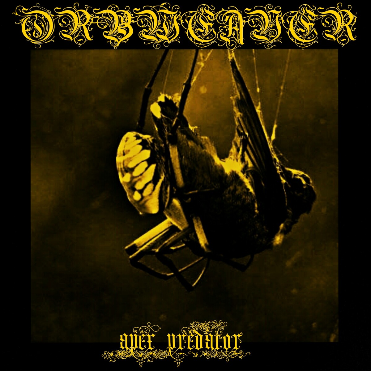 Apex Predator by Orbweaver (Album, Harsh Noise Wall): Reviews, Ratings ...