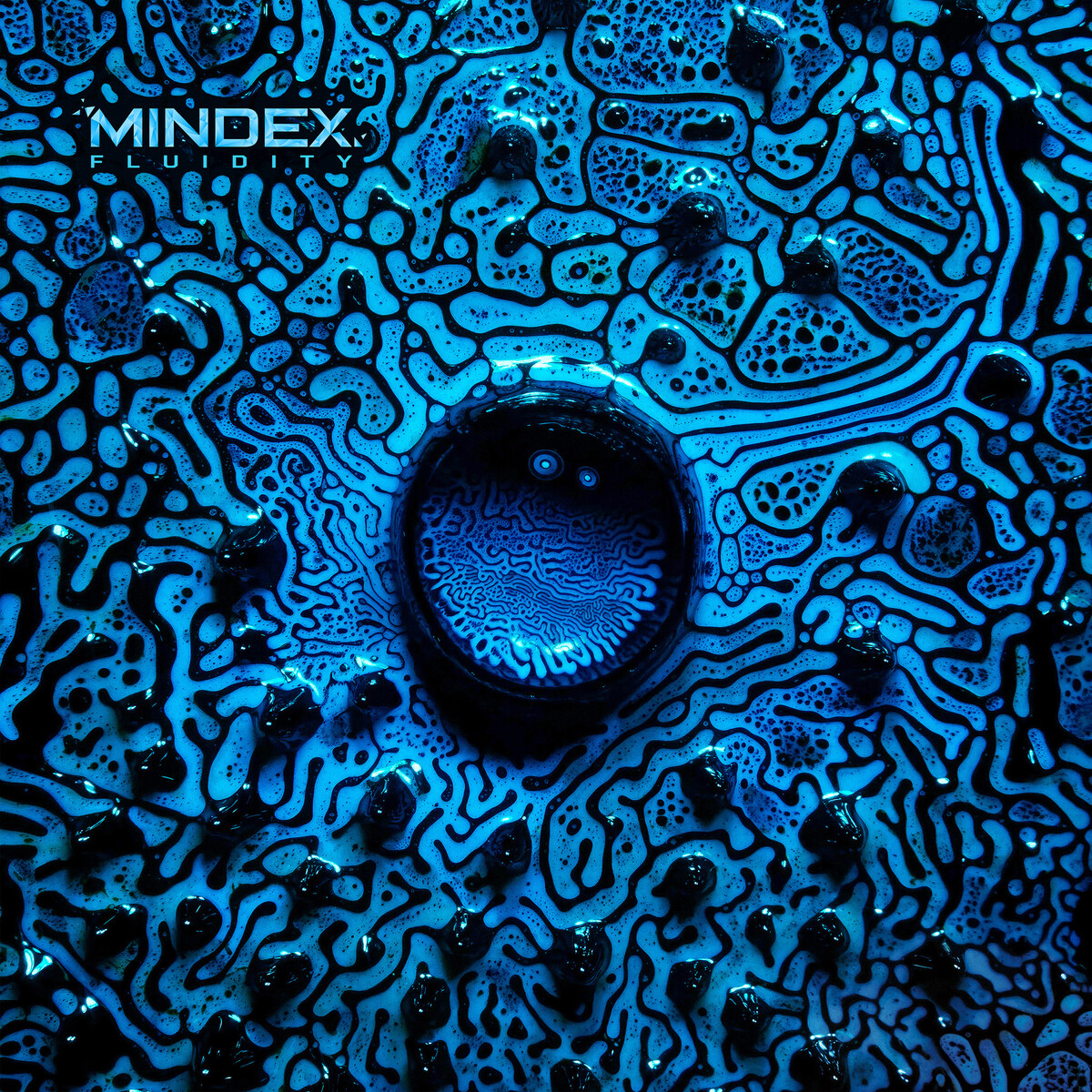 Fluidity by Mindex (Album; n/a; n/a): Reviews, Ratings, Credits, Song ...