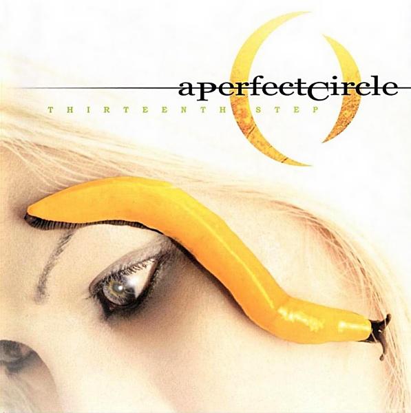 Thirteenth Step by A Perfect Circle (Album; Virgin America; VUSLP247 ...