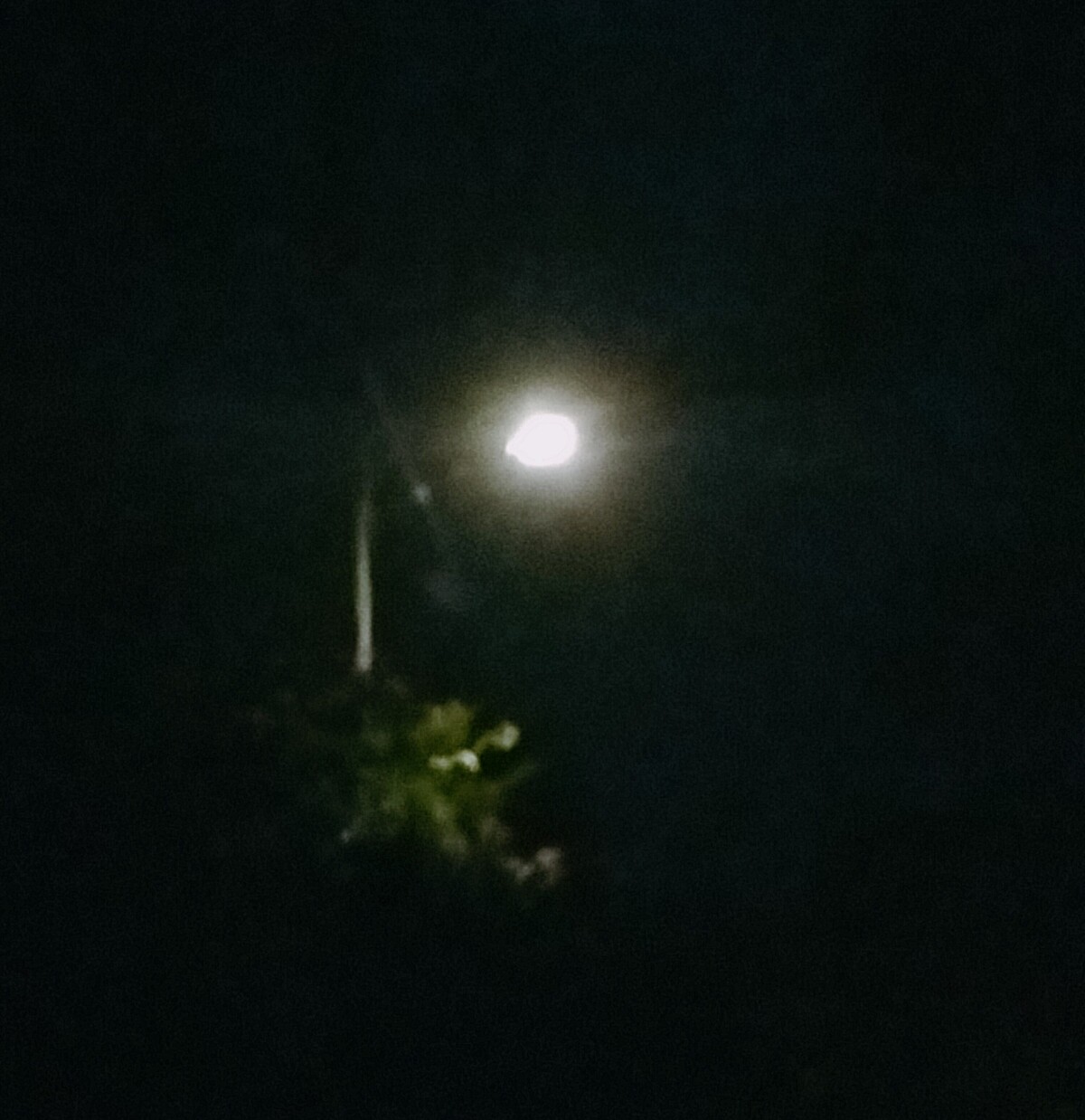 Dissonance in Real Time by Western (Single): Reviews, Ratings, Credits ...