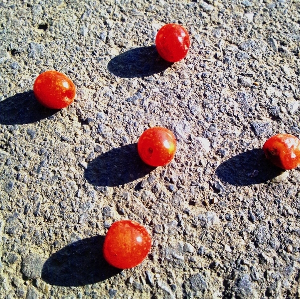 ノーツ by ダニエル・クオン [Daniel Kwon] (Album): Reviews, Ratings, Credits, Song list - Rate Your Music