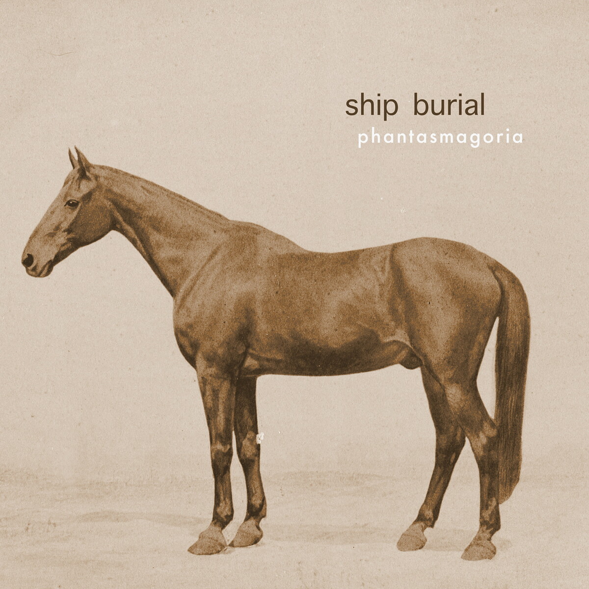 ship burial Albums: songs, discography, biography, and listening guide ...