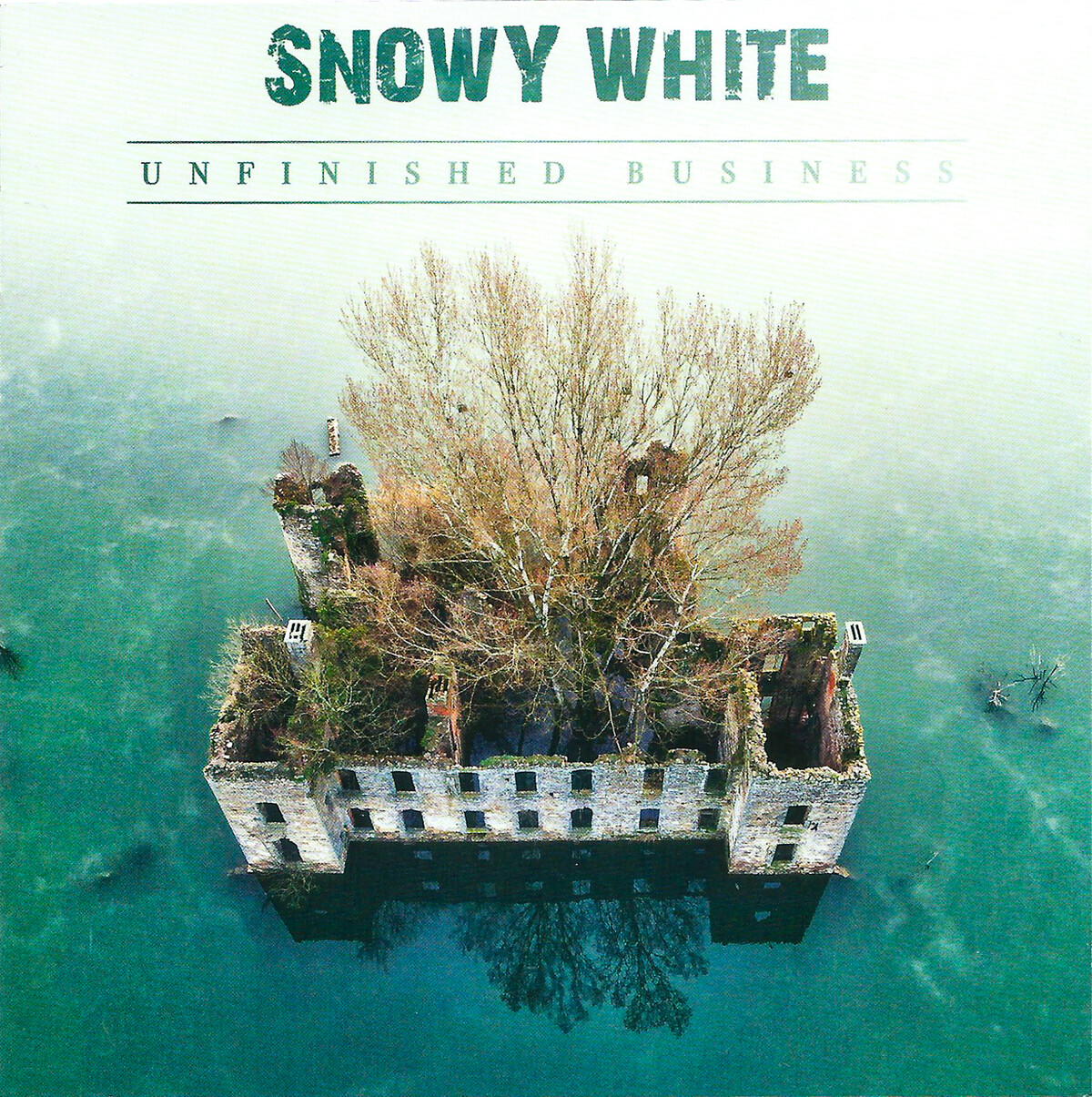 Unfinished Business by Snowy White (Album, Blues Rock): Reviews ...