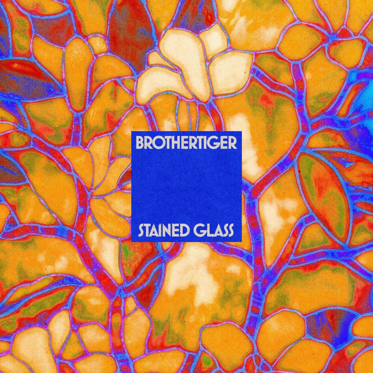 Stained Glass by Brothertiger (Single): Reviews, Ratings, Credits, Song ...