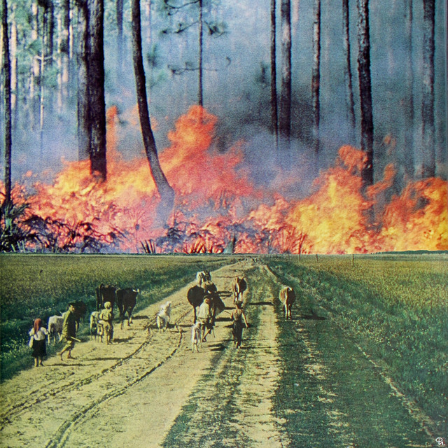 Music for Burnouts by Ayashi[!] (Album): Reviews, Ratings, Credits ...