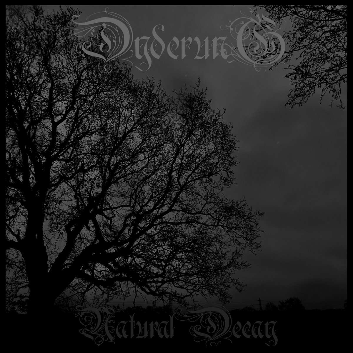Natural Decay by Dyderung (Album; n/a; n/a): Reviews, Ratings, Credits ...