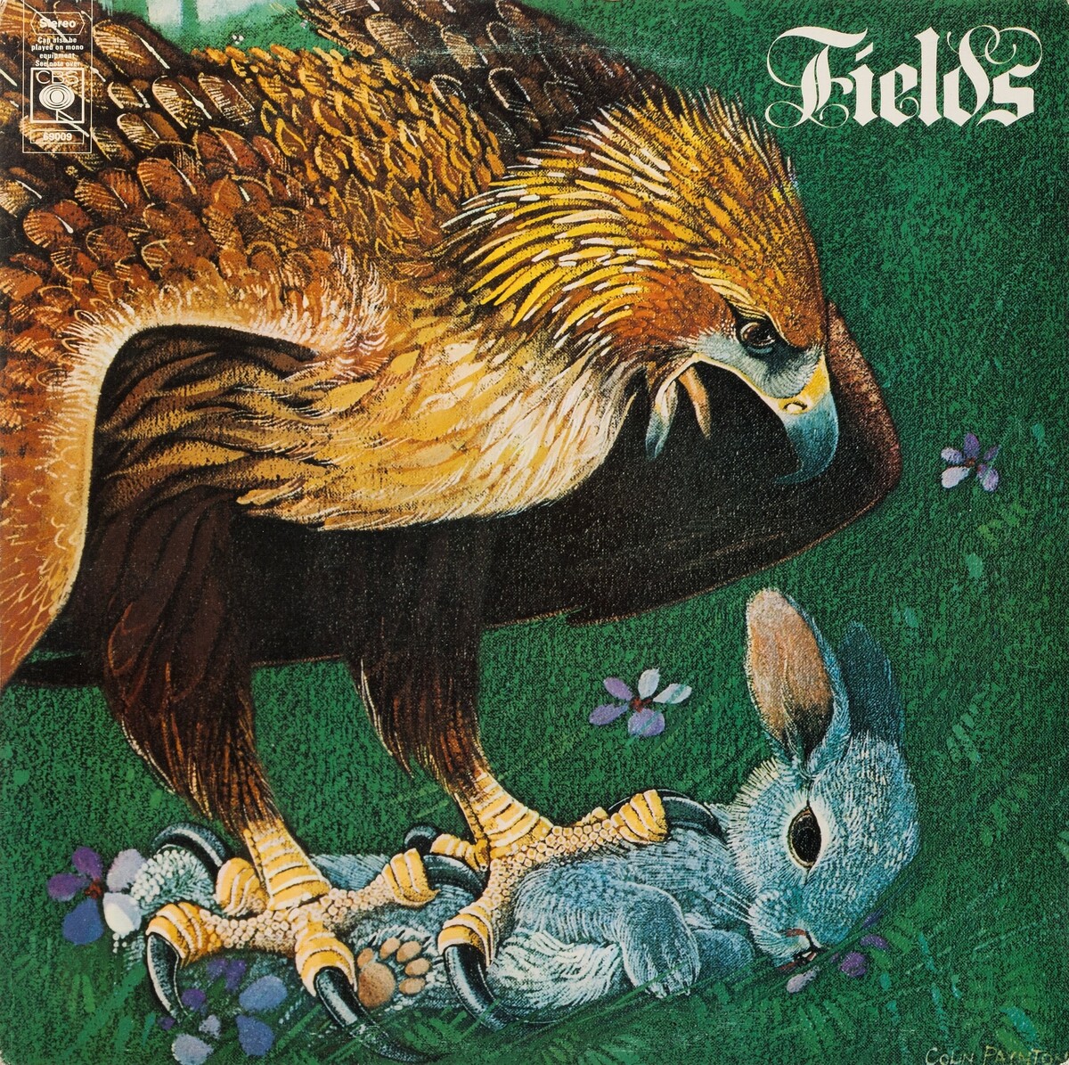 Fields by Fields (Album, Progressive Rock): Reviews, Ratings, Credits ...
