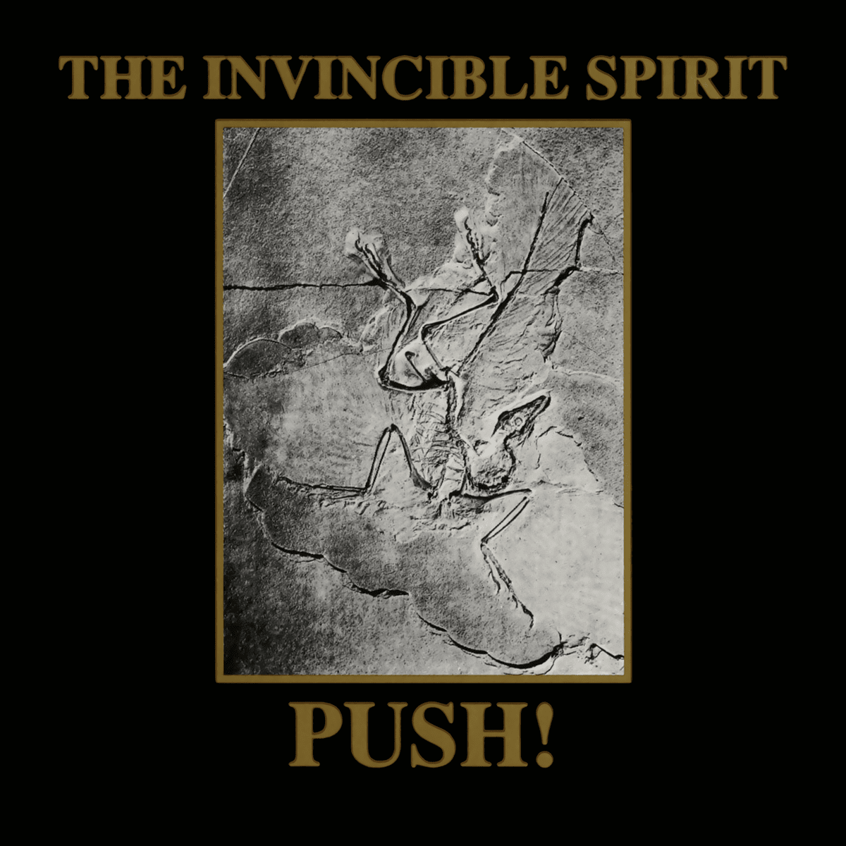 Push! by The Invincible Limit (EP; Last Chance; LCR 026): Reviews, Ratings, Credits, Song list ...