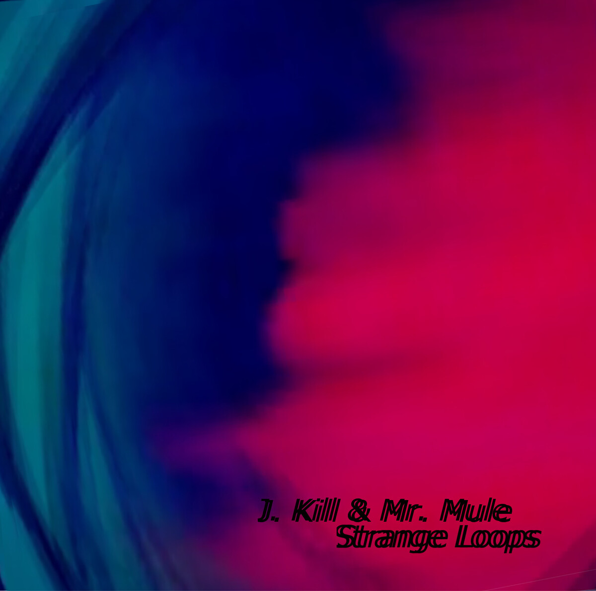 Strange Loops by J. Kill & Mr. Mule (Album): Reviews, Ratings, Credits, Song list - Rate Your Music