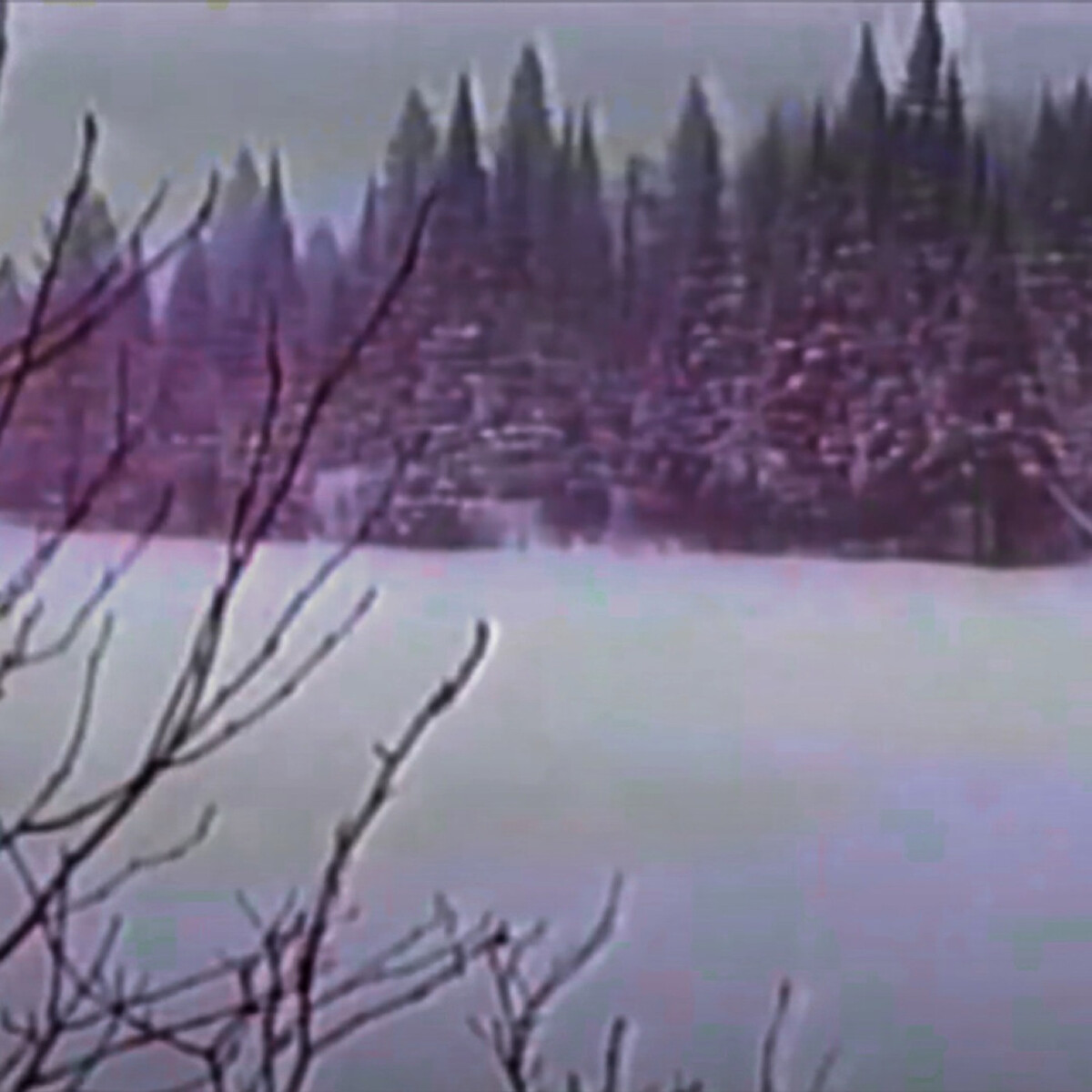 Heart of Frost by Shattered Eyes (Single): Reviews, Ratings, Credits ...