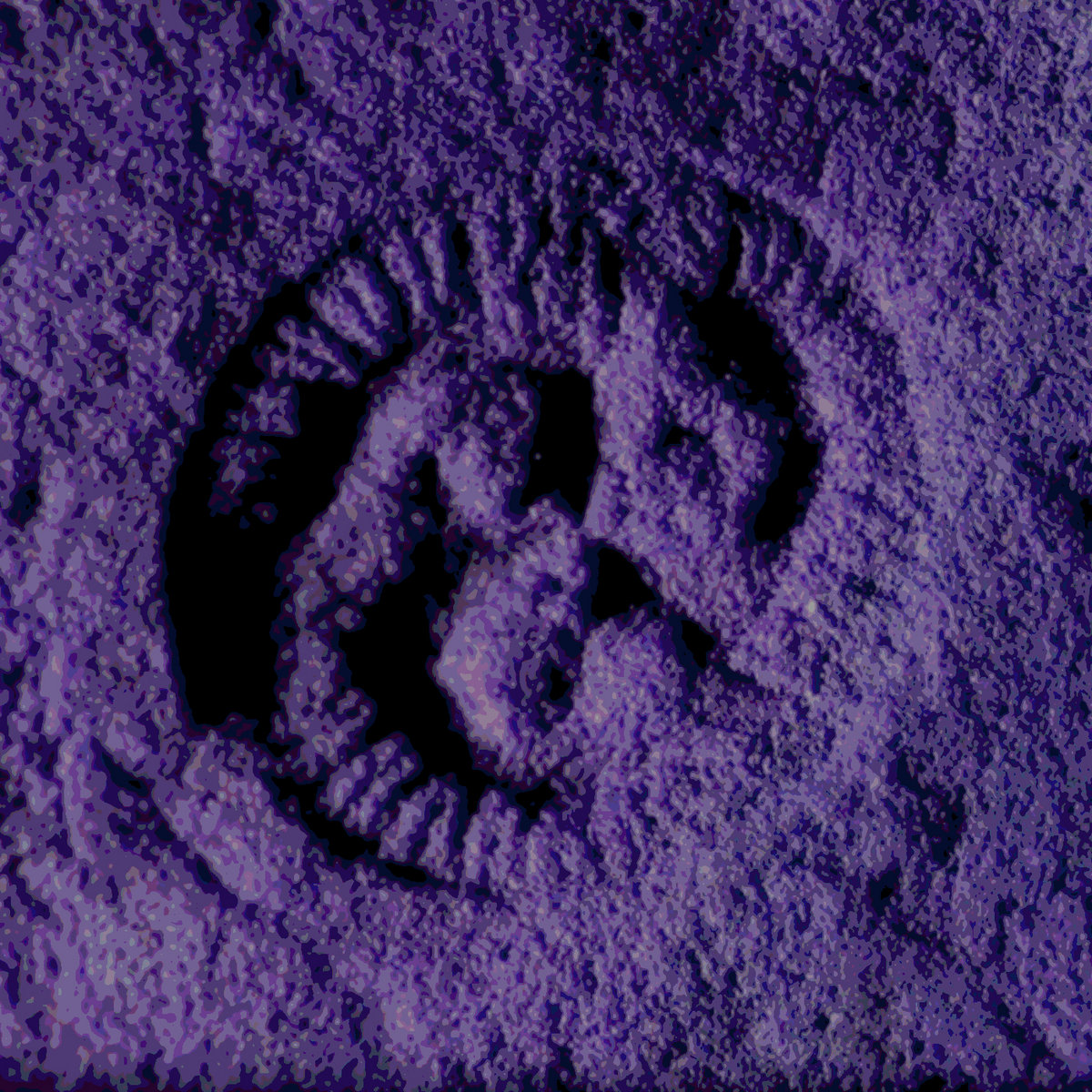 Trilobozoa by Paleobiota (Album, Harsh Noise Wall): Reviews, Ratings ...