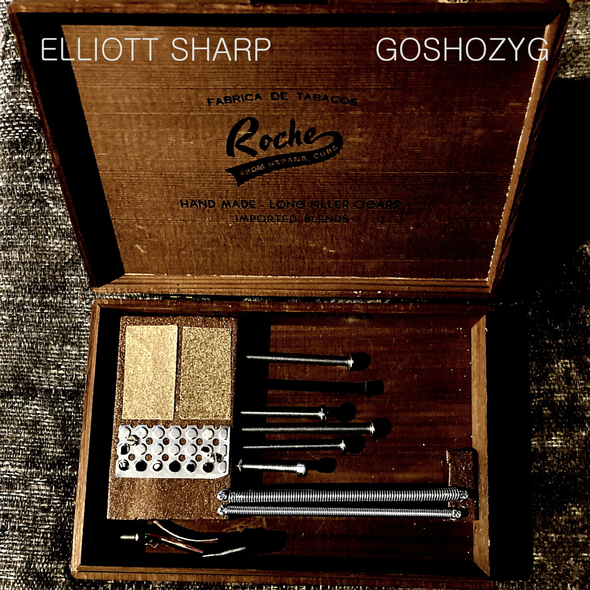 Goshozyg by Elliott Sharp (Album): Reviews, Ratings, Credits, Song list ...
