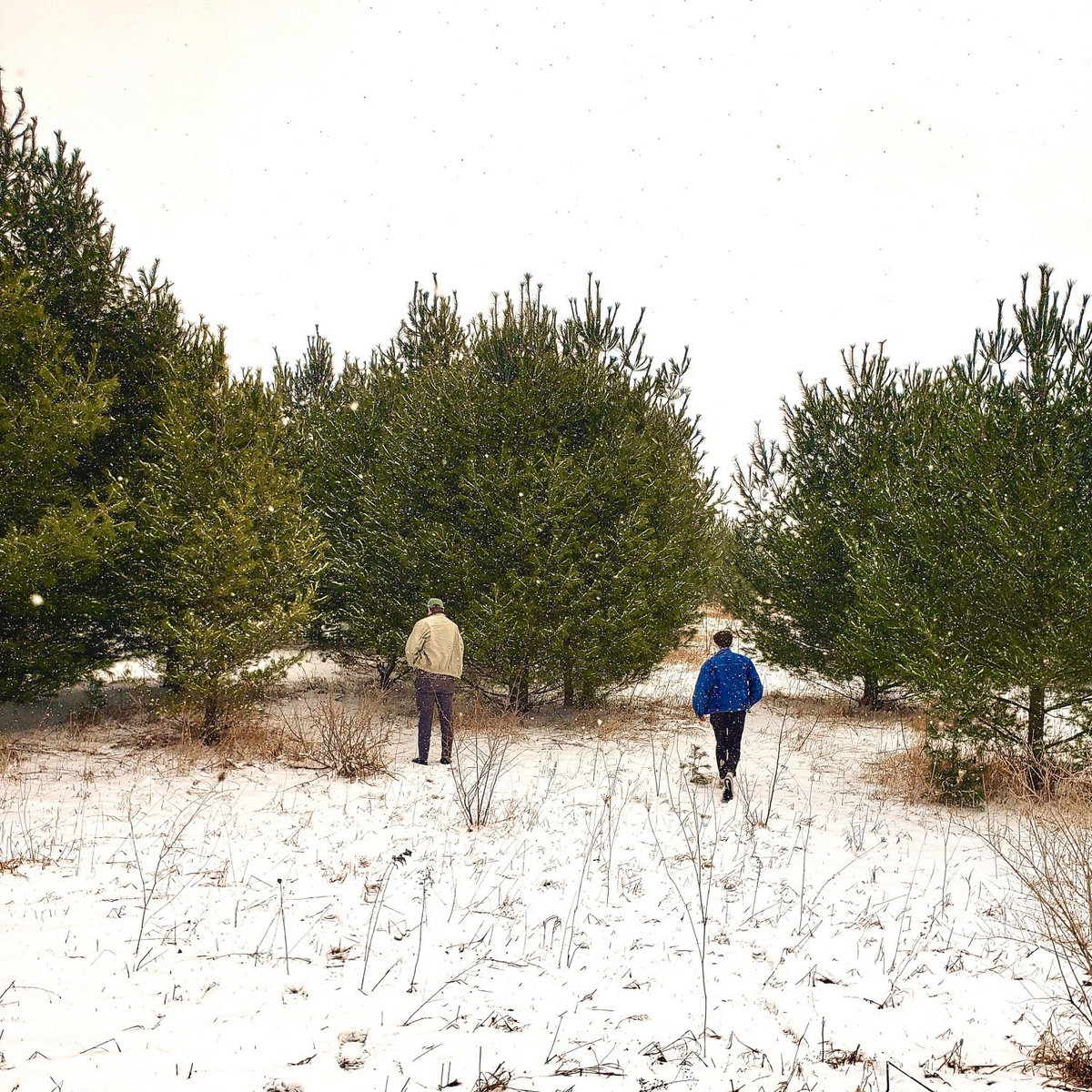 The Casper Fight Scene Albums: songs, discography, biography, and ...