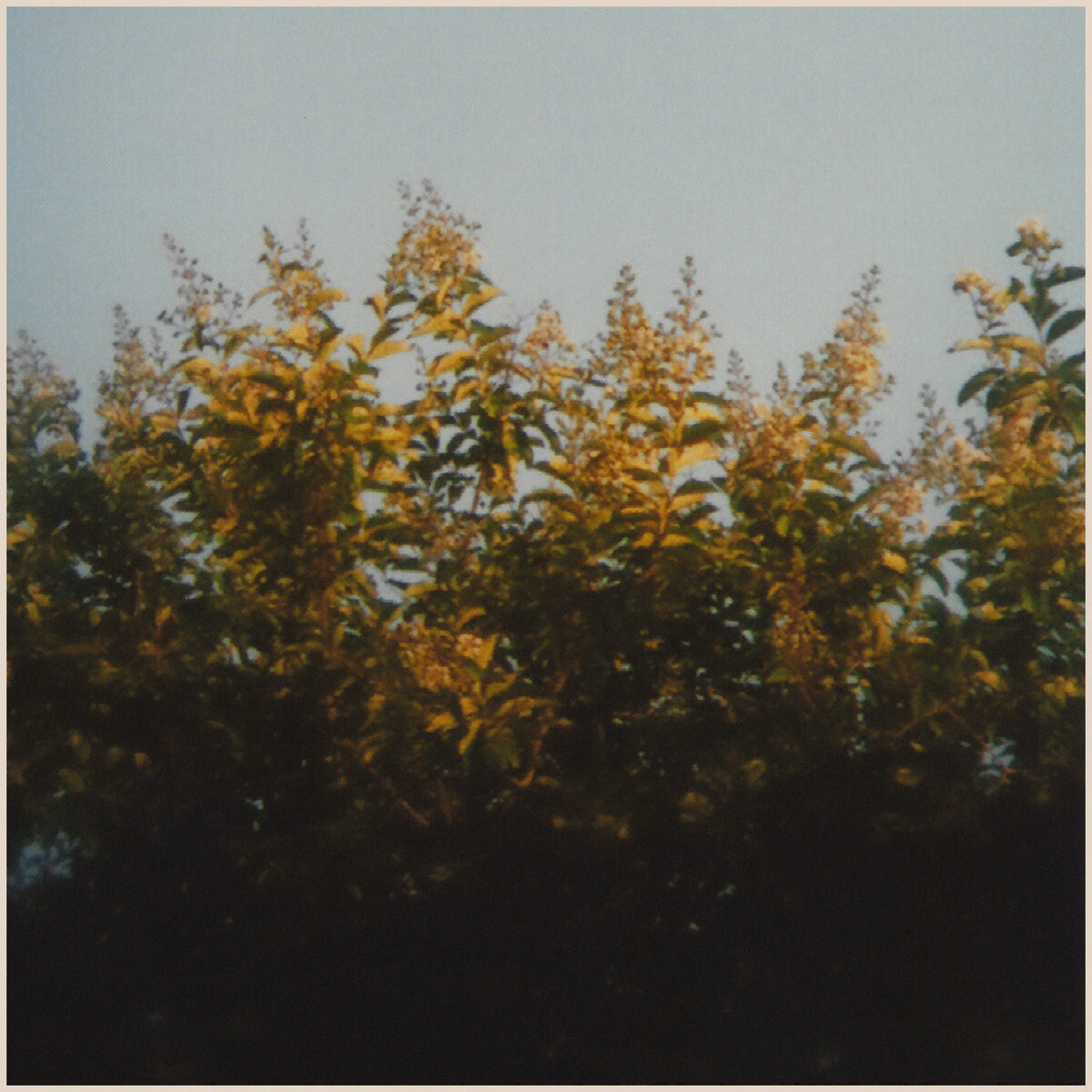 Mountain Interval by Coppice Halifax (Album, Ambient Techno): Reviews ...