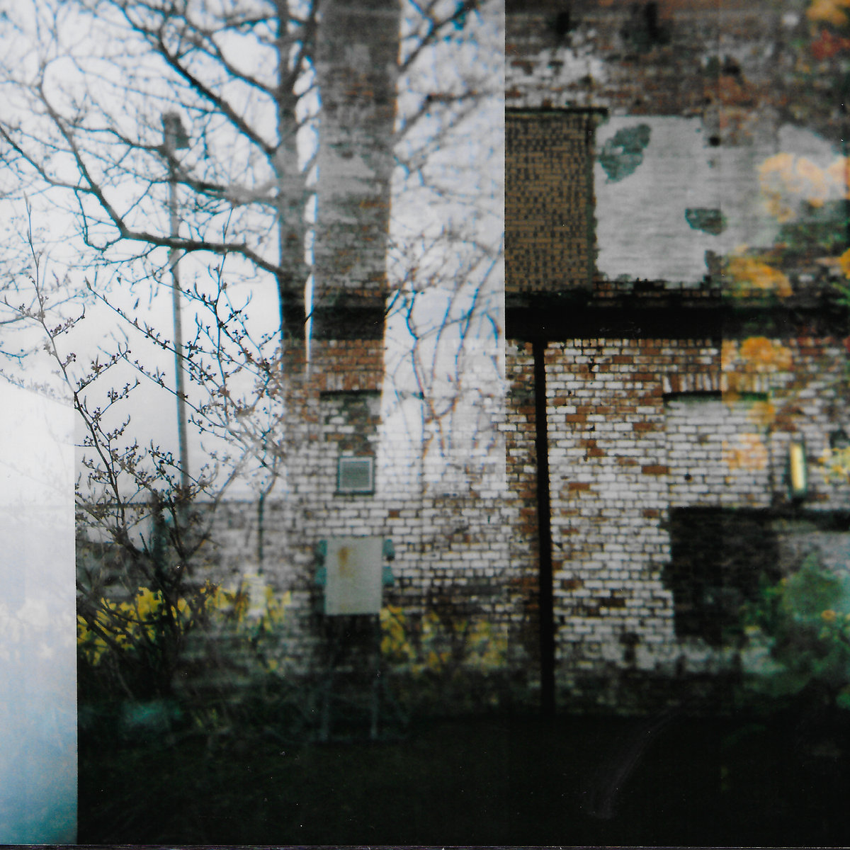 Six Panels for the Dissolution by Richard Youngs (Album): Reviews ...