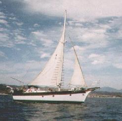 Casey Brandt Albums: songs, discography, biography, and listening guide ...