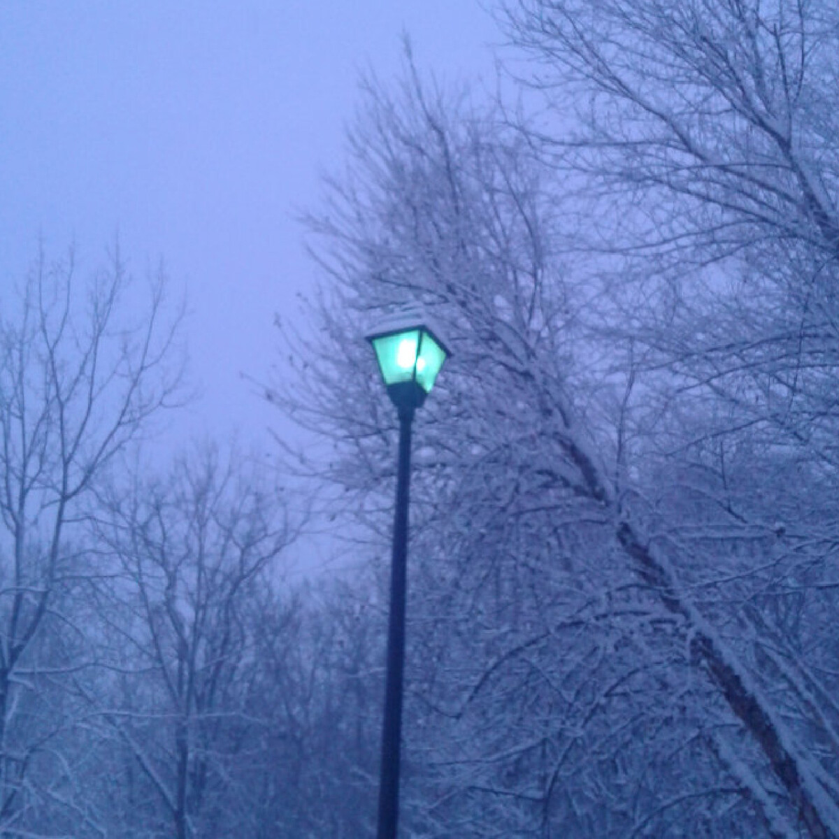 Esoteric Ambient House mixtapes of 2021 - Rate Your Music