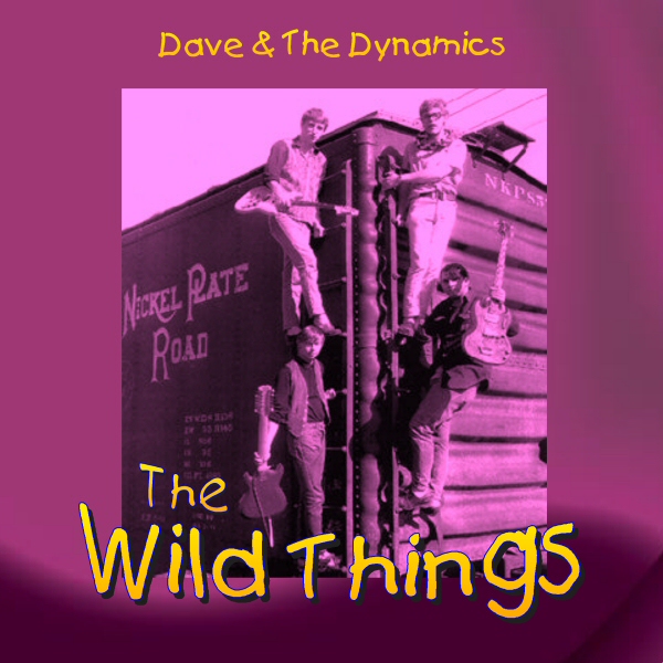 The Wild Things by The Wild Things (Album): Reviews, Ratings, Credits ...
