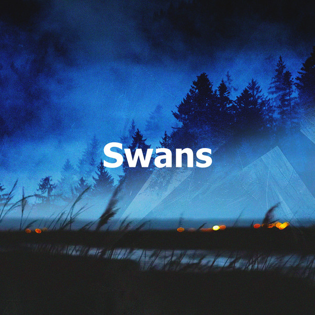 Swans by Swans (Album, Ambient): Reviews, Ratings, Credits, Song list ...