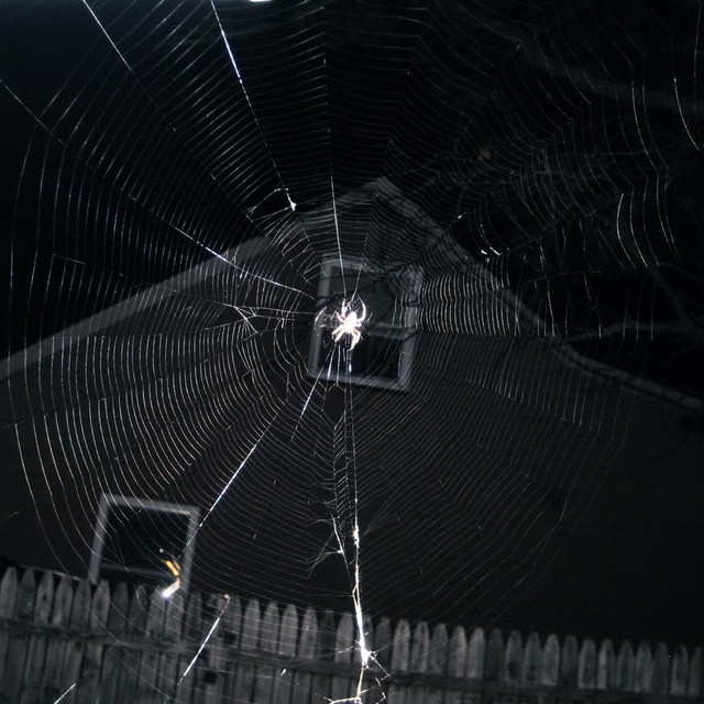 Mutations / / Magic by Polearm (Single): Reviews, Ratings, Credits ...