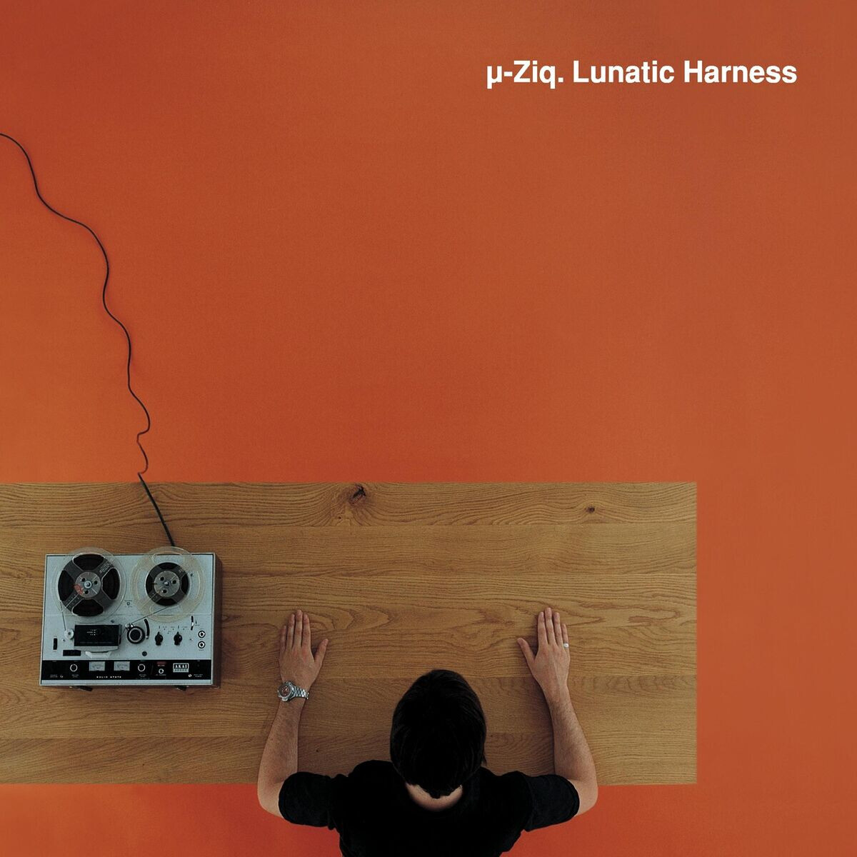 Lunatic Harness by µ-Ziq (Album, IDM): Reviews, Ratings, Credits, Song ...
